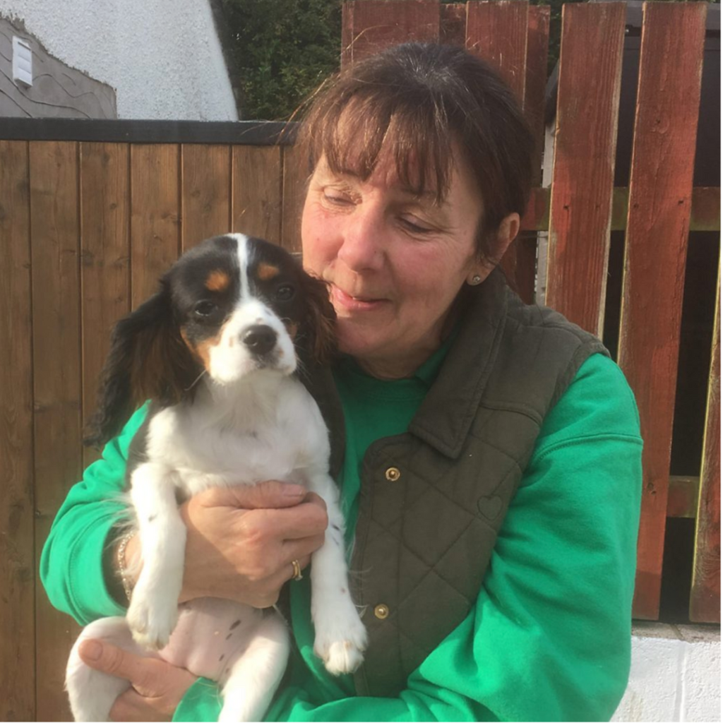 Home - Cow Hill Kennels, Cattery and Day Care Preston Lancashire